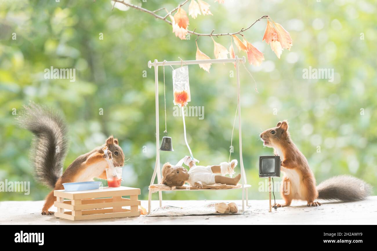 Patient hospital bed tv hi-res stock photography and images - Alamy