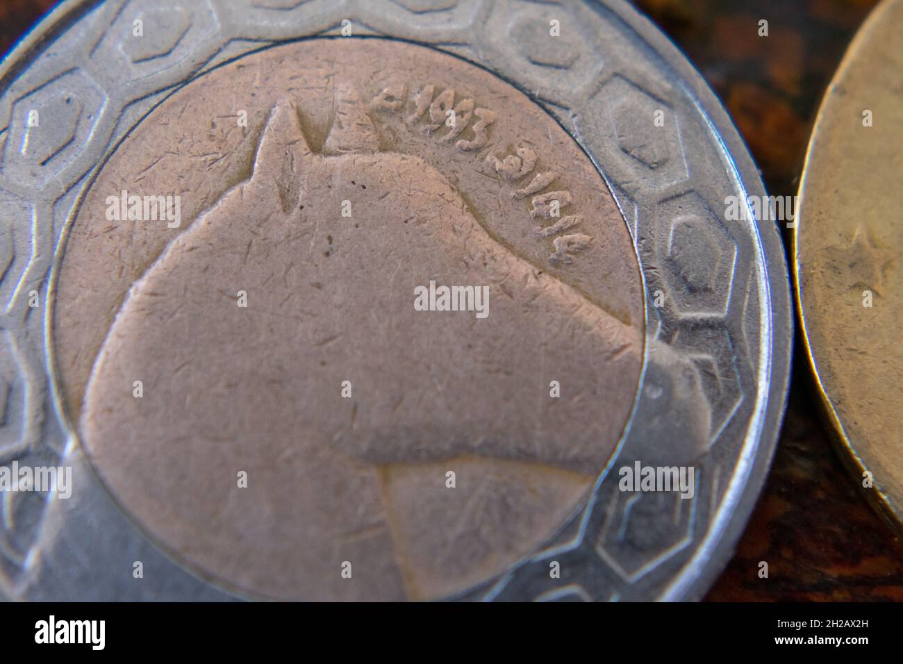 Algeria algerian coin coins money hi-res stock photography and images ...