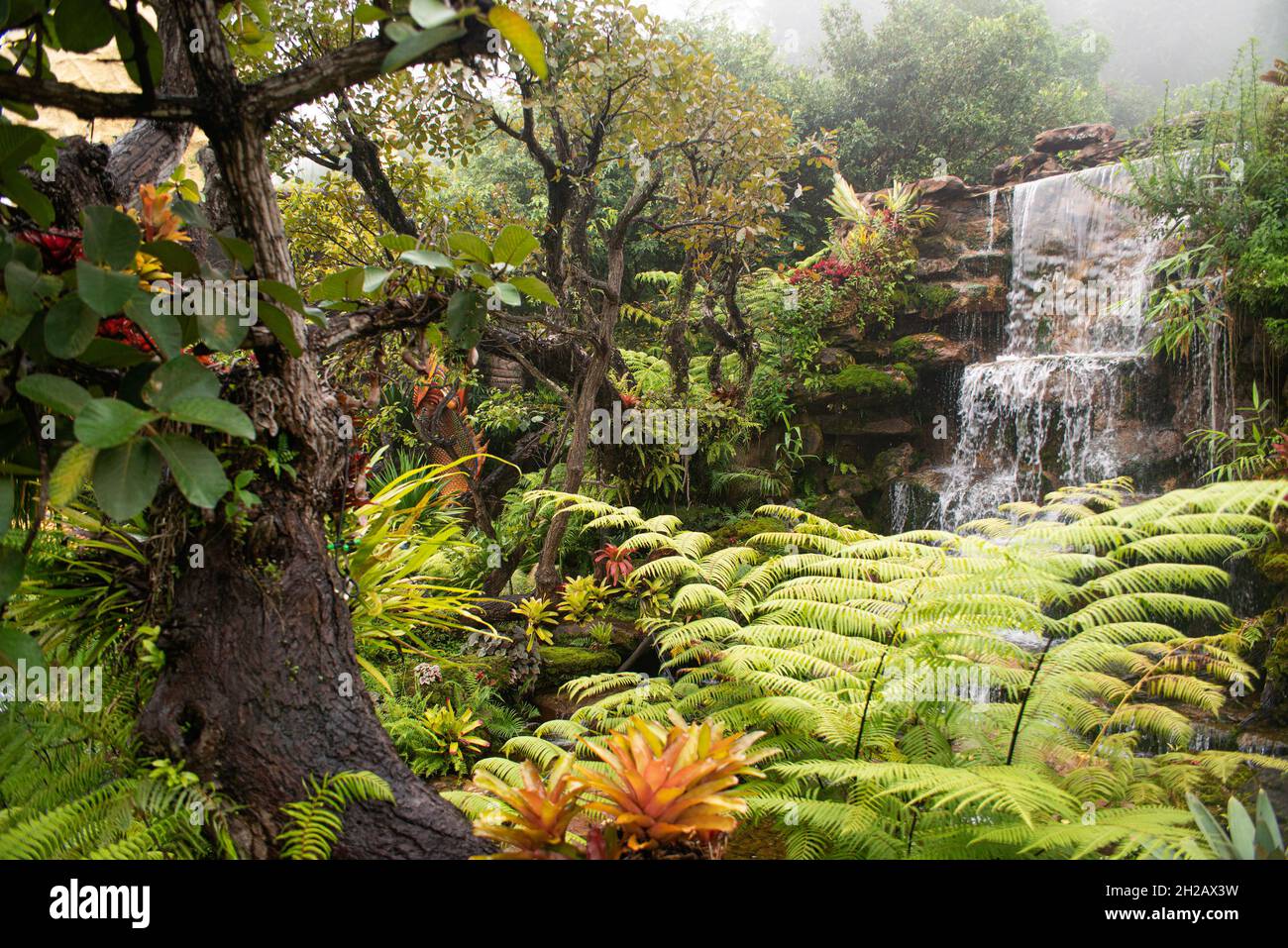 The waterfall was built in the park to decorate and beautify the place ...