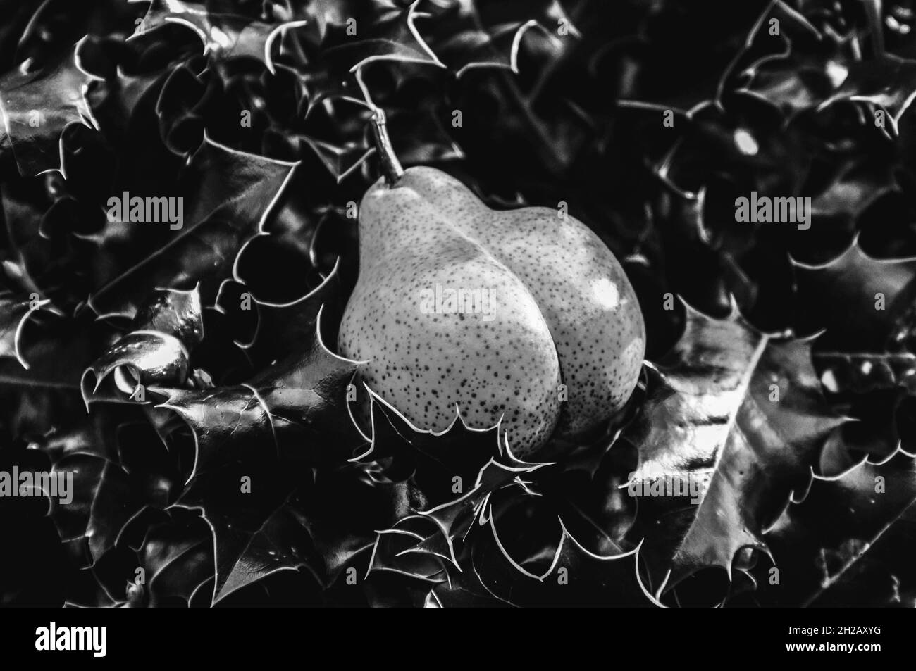 Grayscale of fresh pear fruit in the middle of green leaves Stock Photo ...