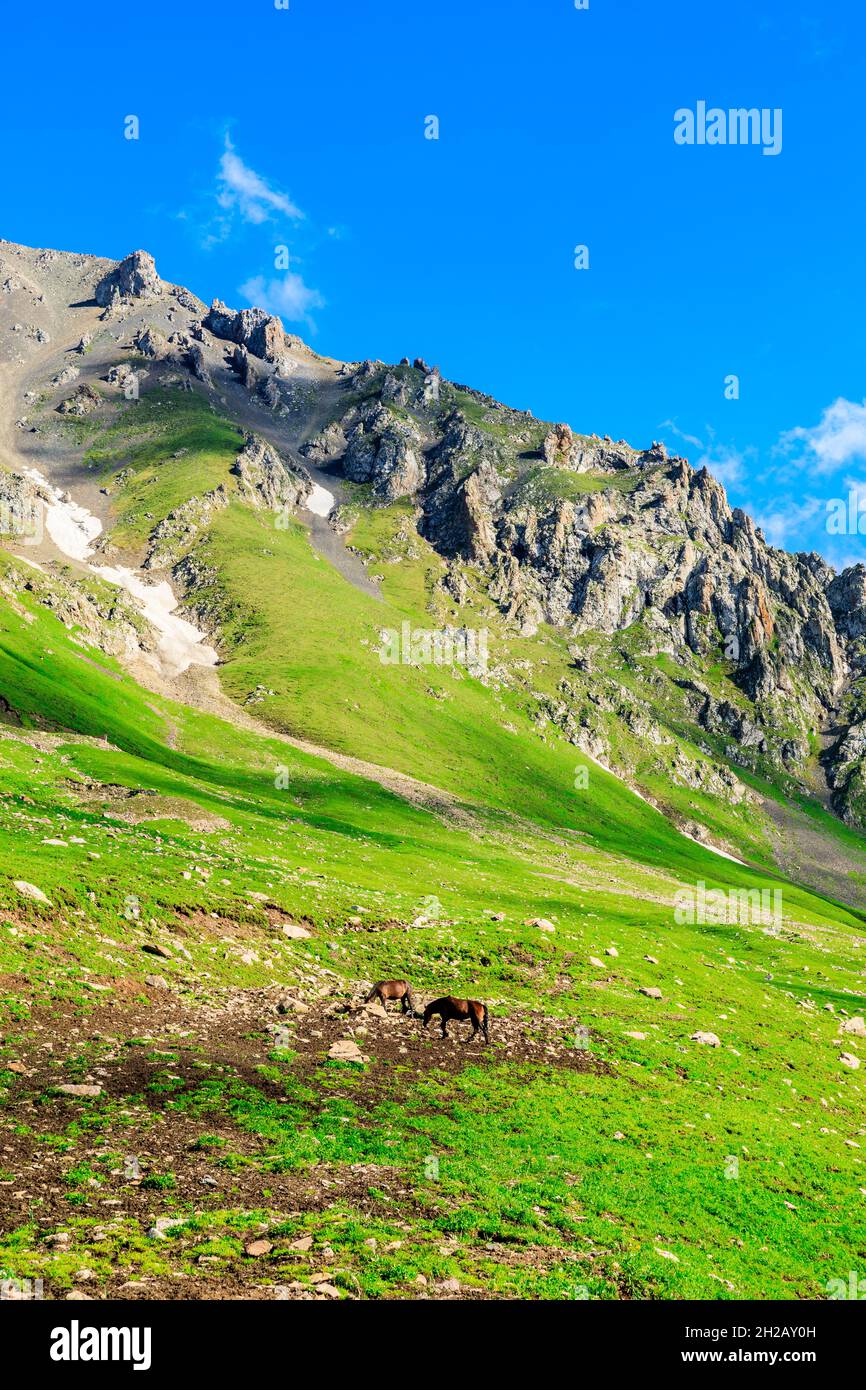 Nalati grassland with beautiful mountain scenery in Xinjiang,China ...
