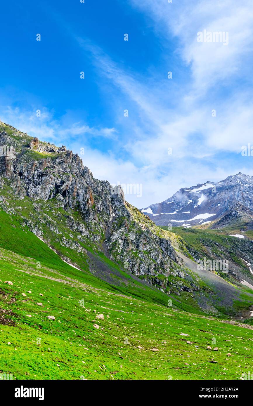 Nalati grassland with snow mountain scenery in Xinjiang,China Stock ...