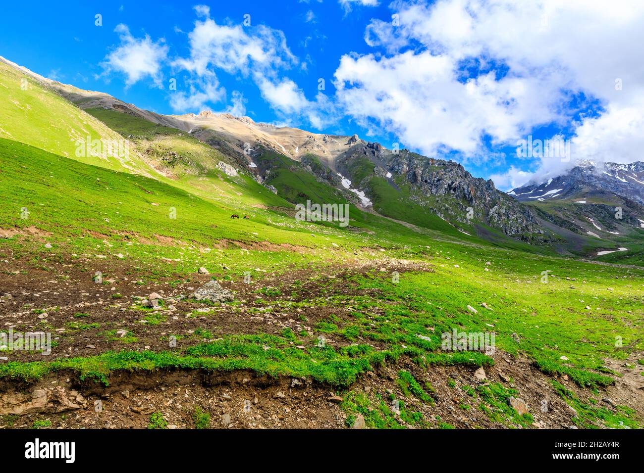 Nalati grassland with beautiful mountain scenery in Xinjiang,China ...