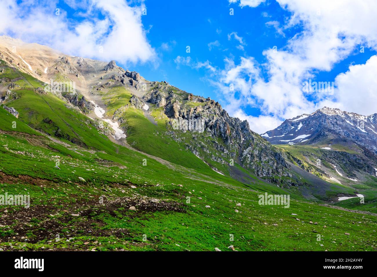 Nalati grassland with snow mountain scenery in Xinjiang,China Stock ...
