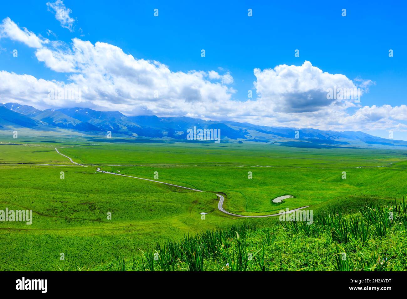 Nalati Grassland natural scenery in Xinjiang,China Stock Photo - Alamy