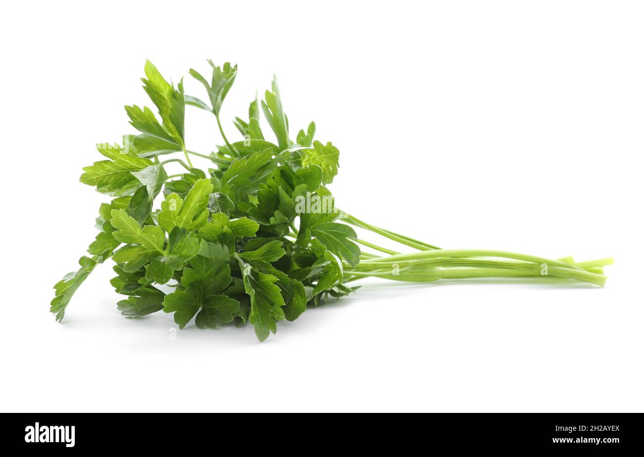 Fresh green parsley on white background Stock Photo - Alamy