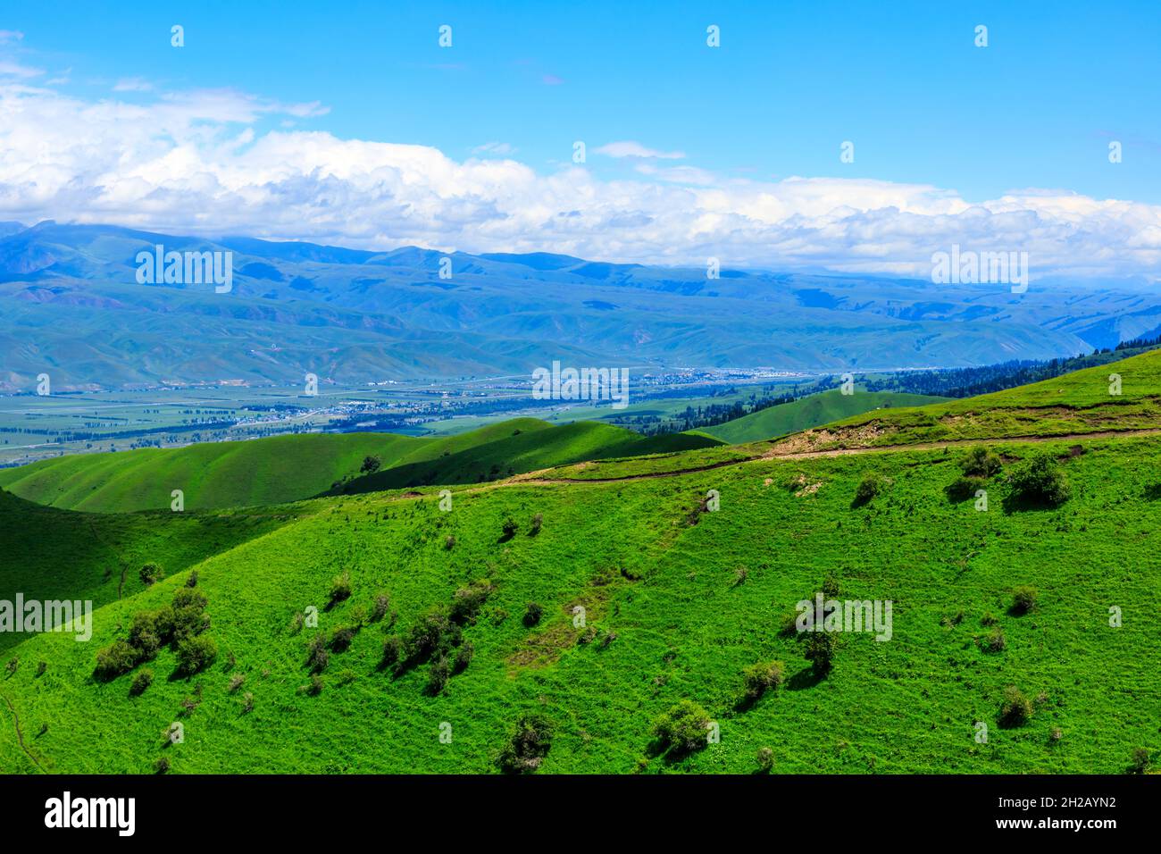 Nalati Grassland natural scenery in Xinjiang,China Stock Photo - Alamy