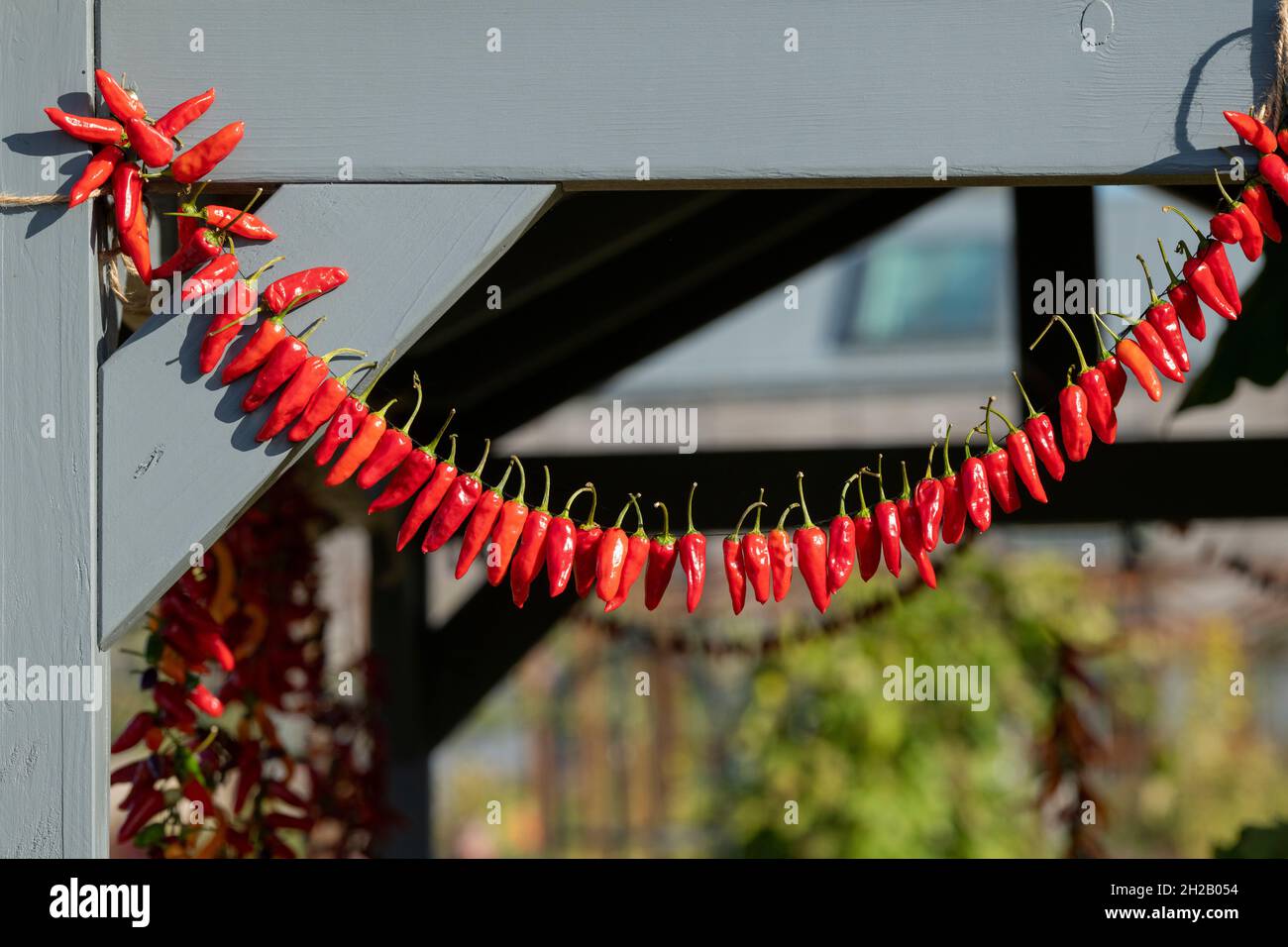Strung up chilli fruits hi-res stock photography and images - Alamy