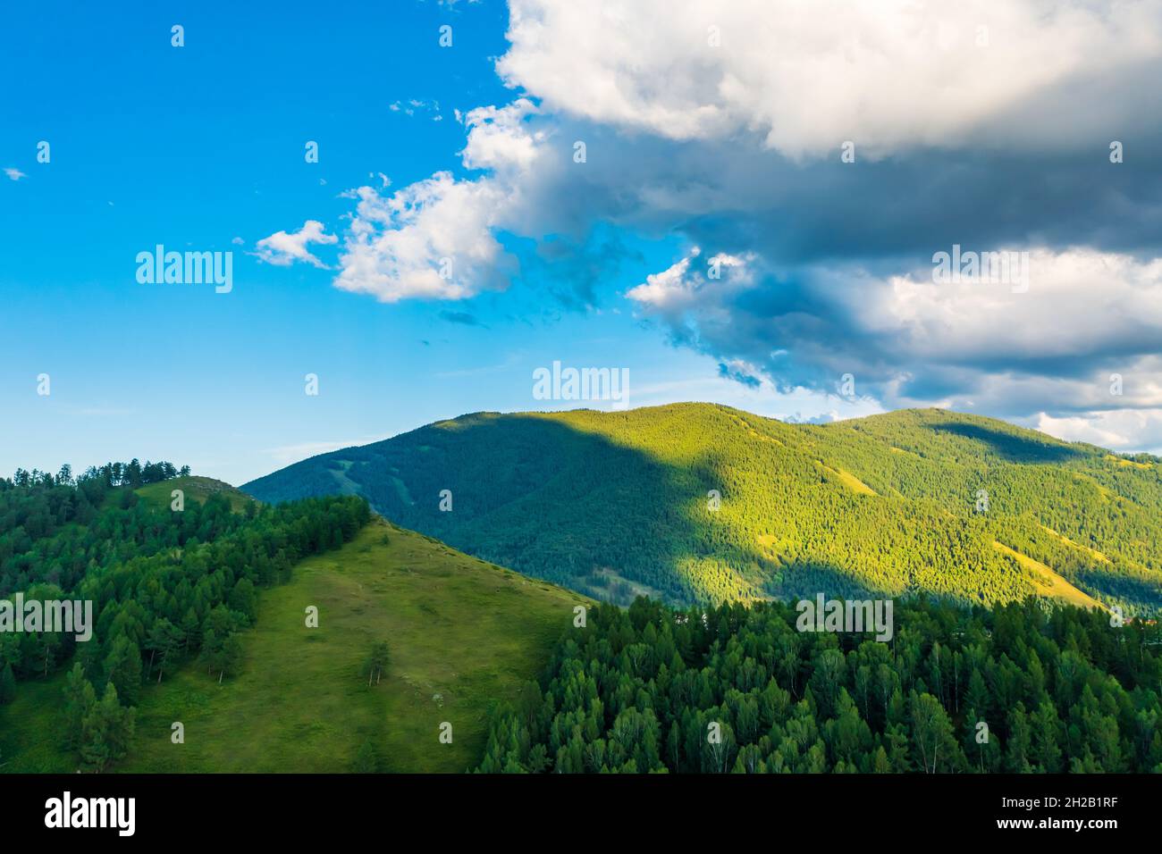 Aerial View of mountain and green forest with grass in Kanas Scenic ...