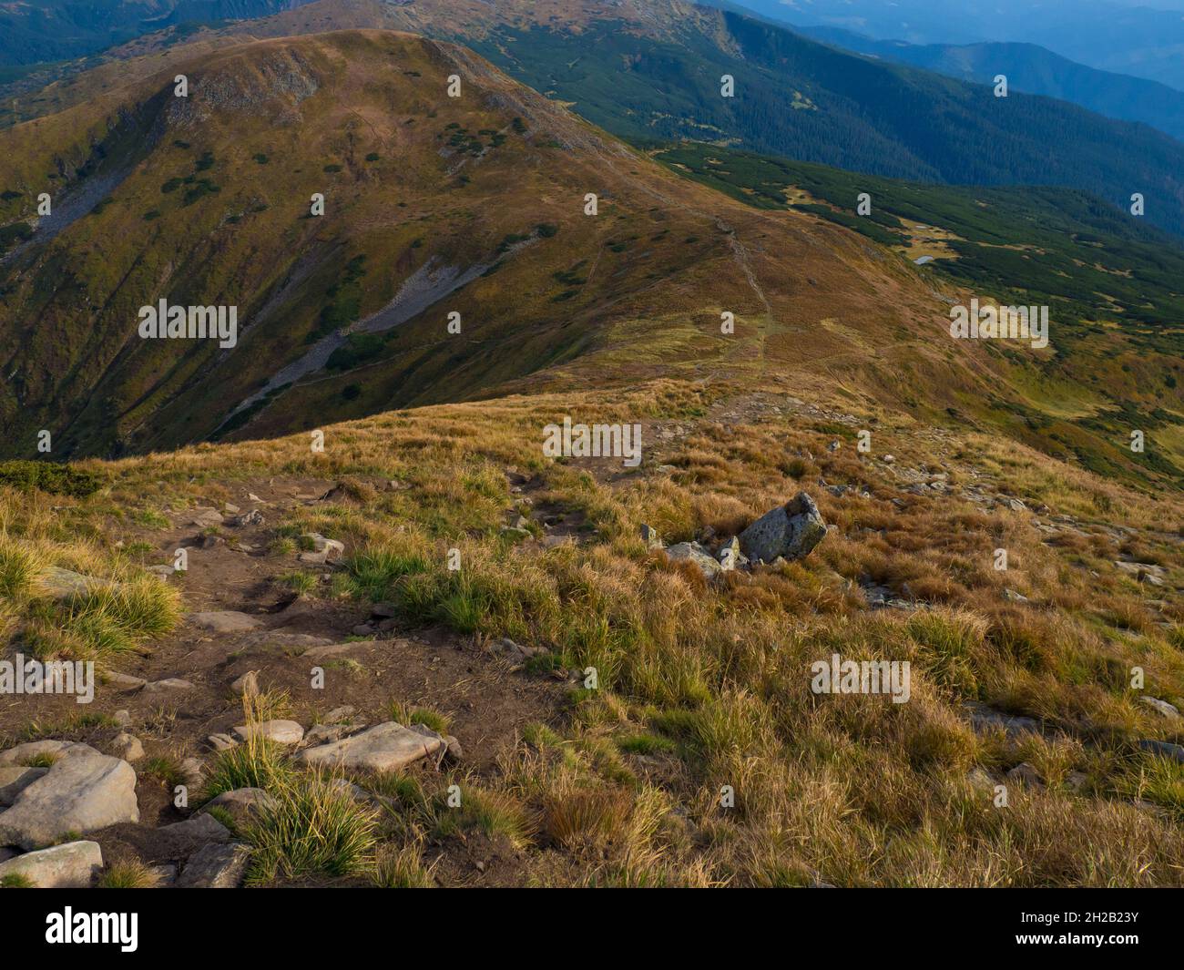 Mount Hoverla in Carpathian mountains in Ukraine Stock Photo - Alamy