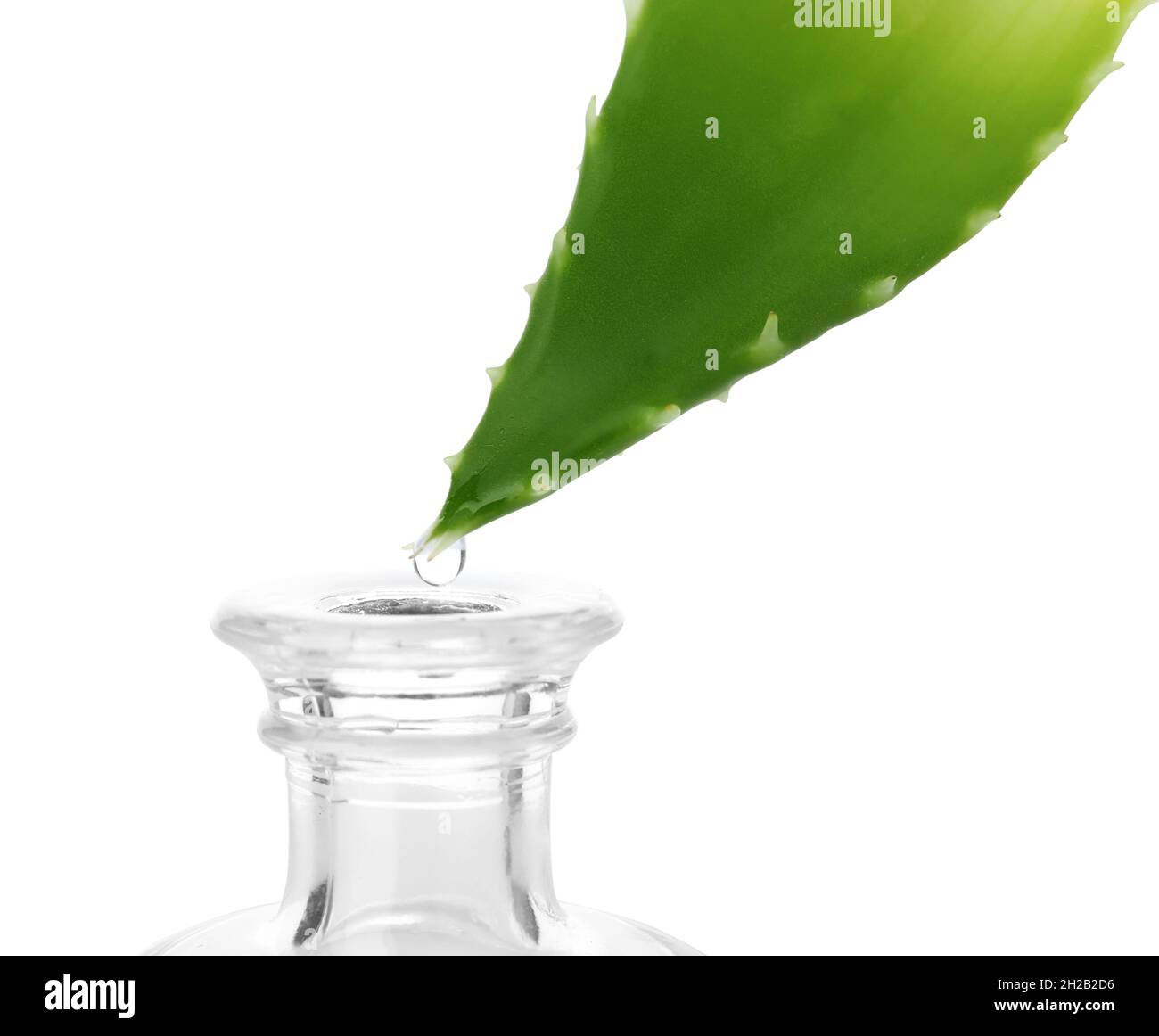 Aloe juice dripping from leaf into bottle on white background Stock ...