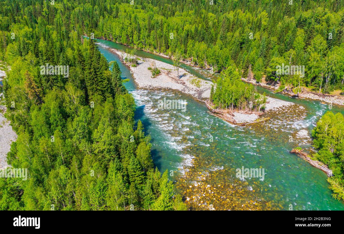 Forest and river natural scenery in Hemu Village,Xinjiang,China Stock ...