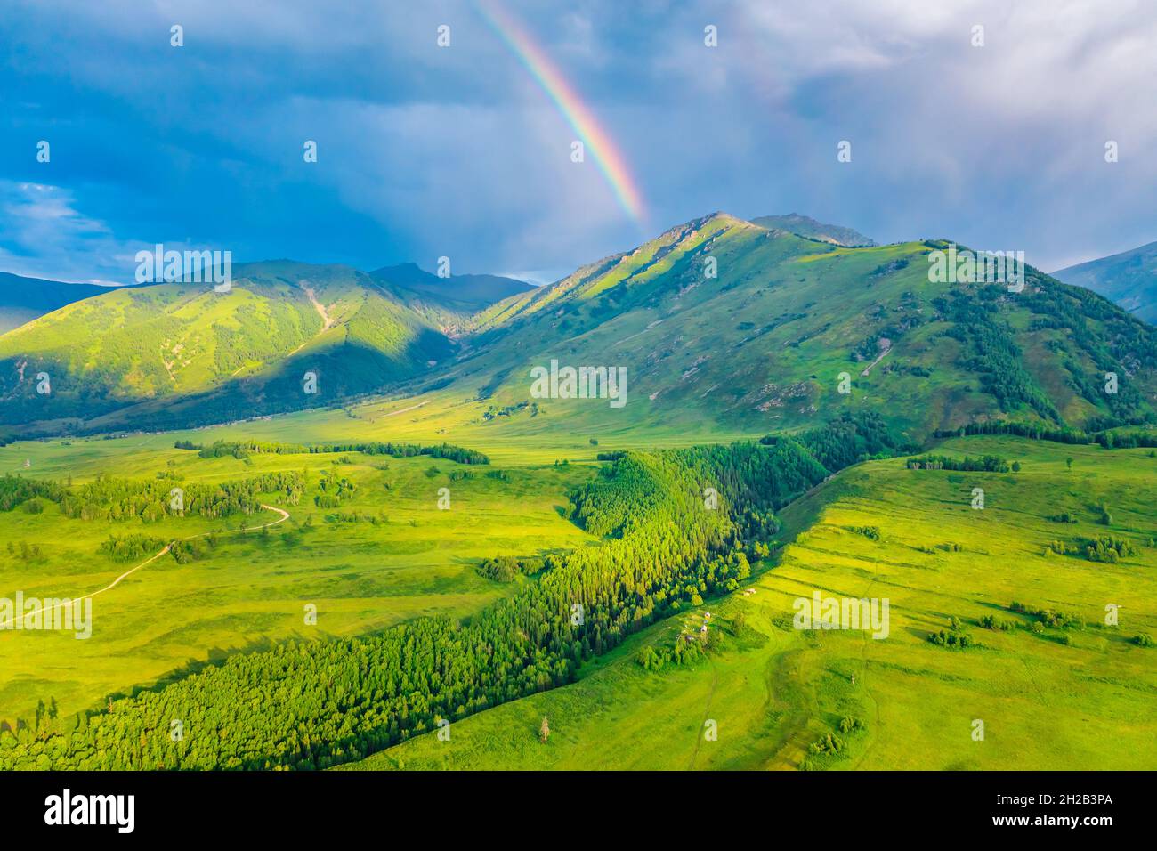 Mountain meadow and forest hi-res stock photography and images - Alamy