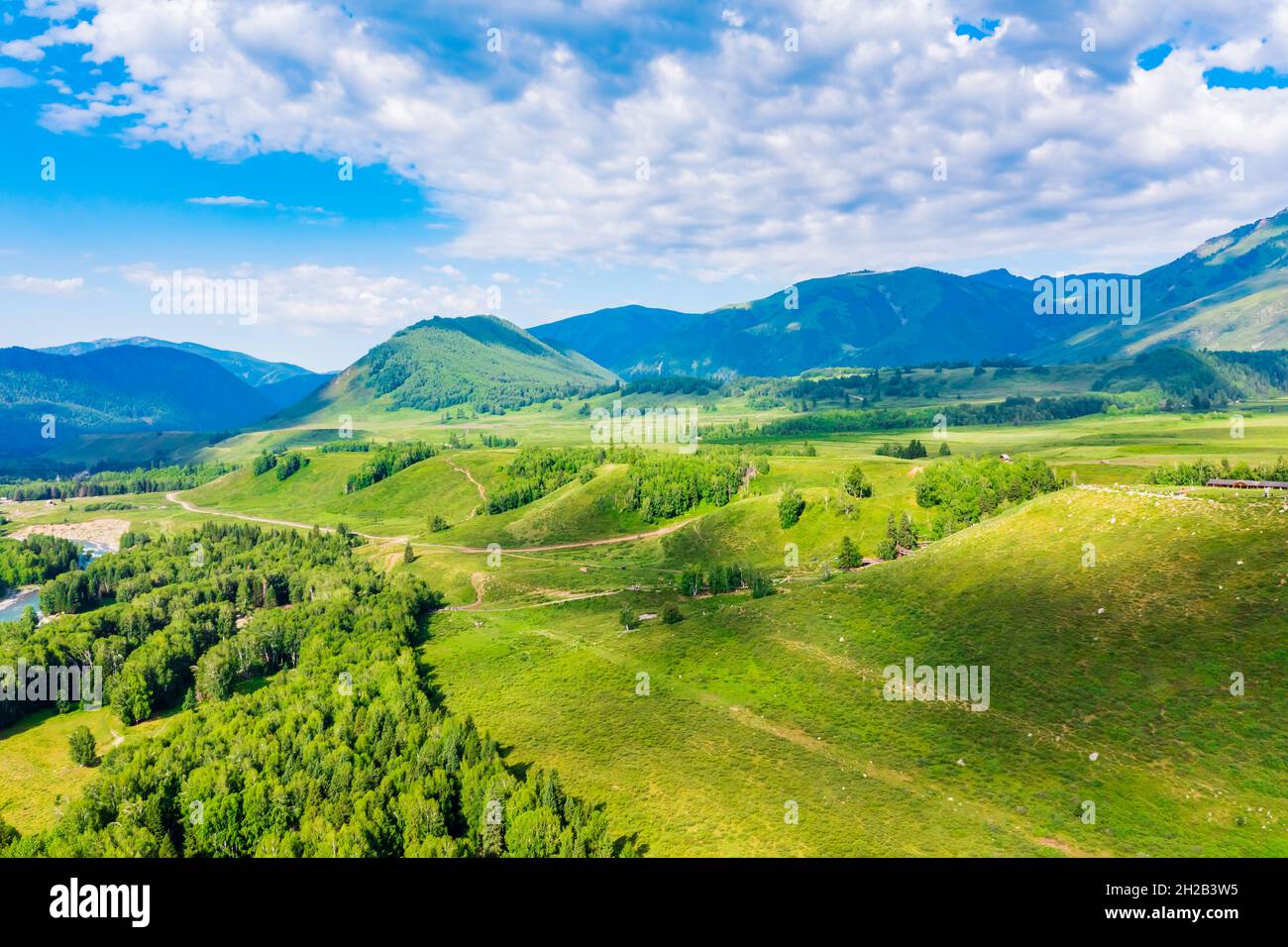 Mountain forest scenery hi-res stock photography and images - Alamy