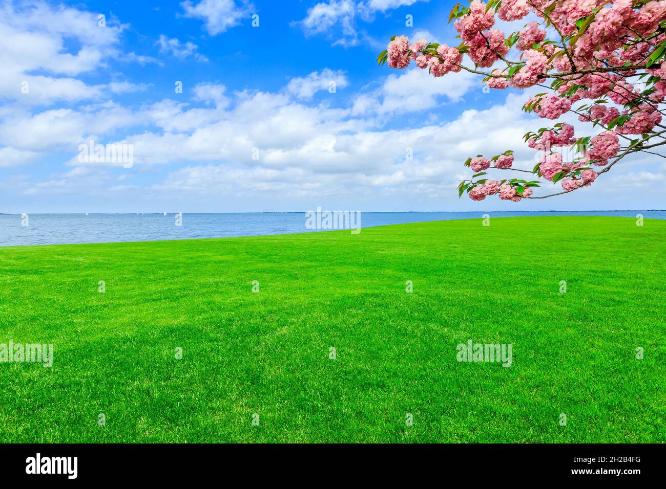 Green grass and river in spring season Stock Photo - Alamy