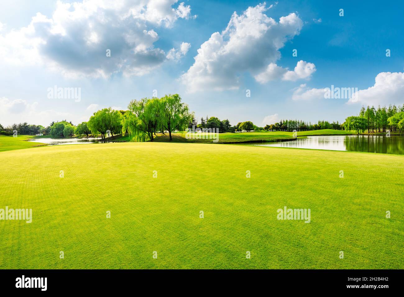 Green grass and trees in spring season Stock Photo - Alamy