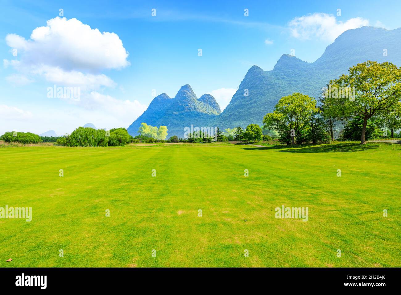 Green grass and forest in spring season Stock Photo - Alamy