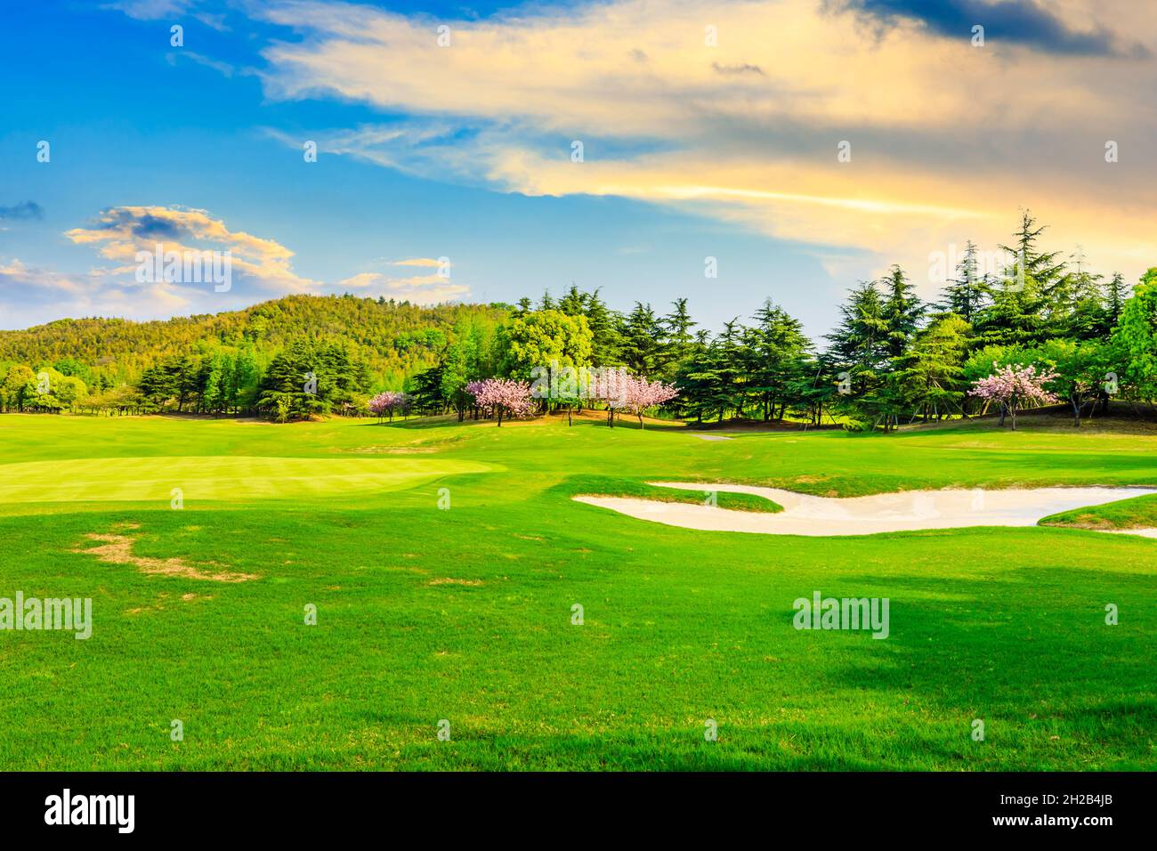 Green grass woods on golf hi-res stock photography and images - Alamy