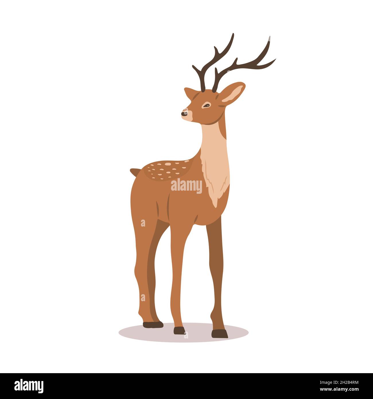 Cute young sika deer fawn Stock Vector Images - Alamy
