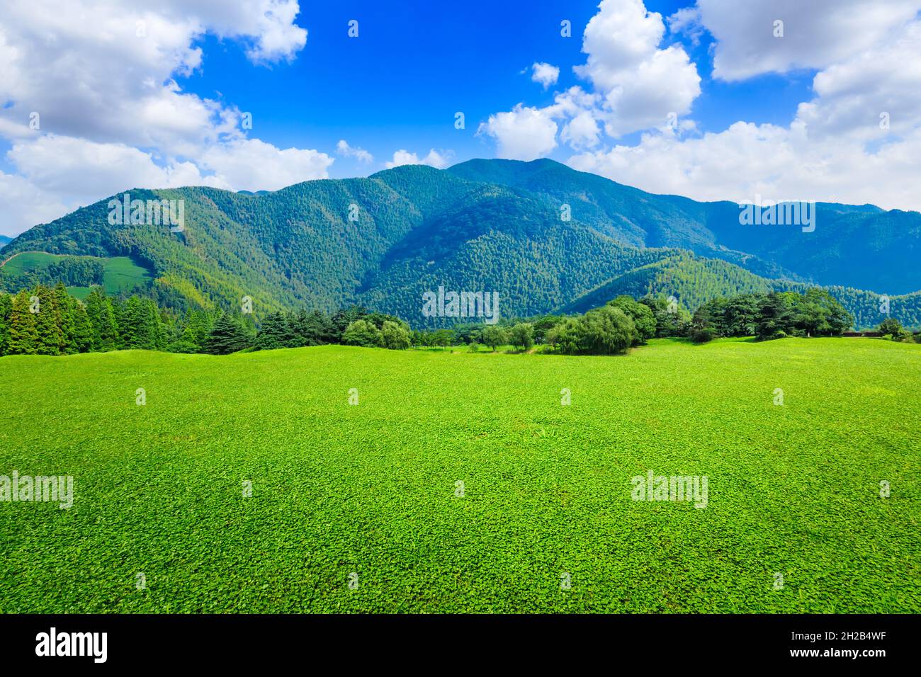 Grass mountain background hi-res stock photography and images - Alamy