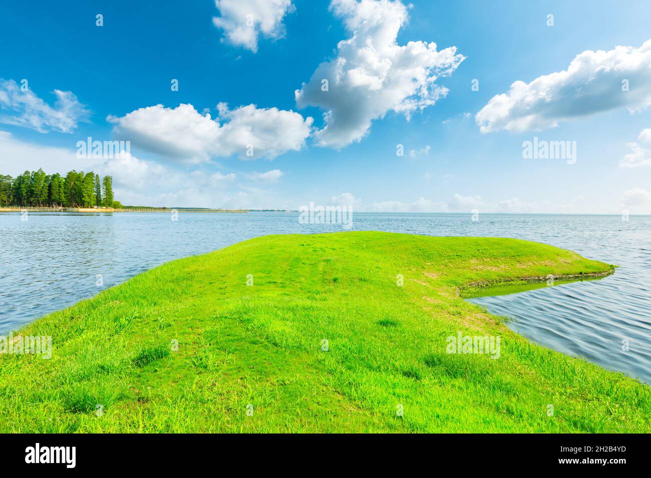 Green grass and river natural landscape Stock Photo - Alamy