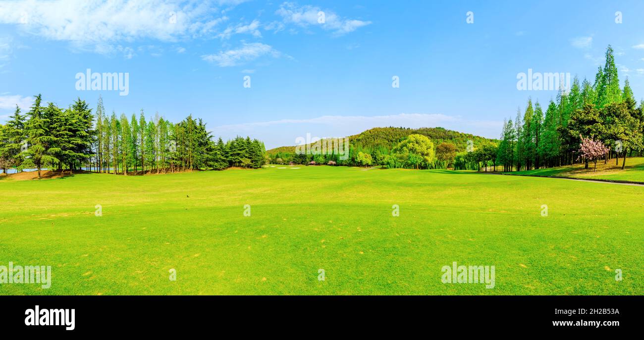 Green grass and forest in spring season Stock Photo - Alamy