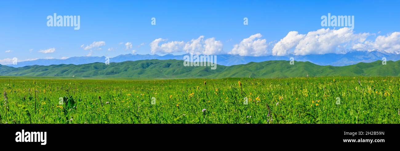 Nalati grassland with beautiful mountain natural landscape in Xinjiang ...