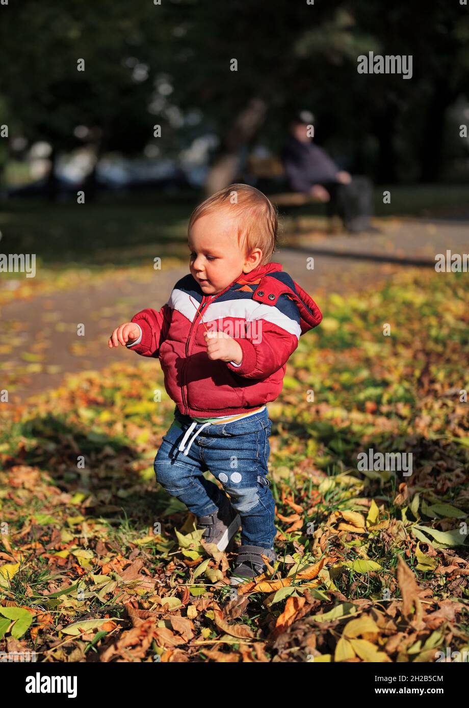 Little boy taking his first steps in the park Stock Photo - Alamy