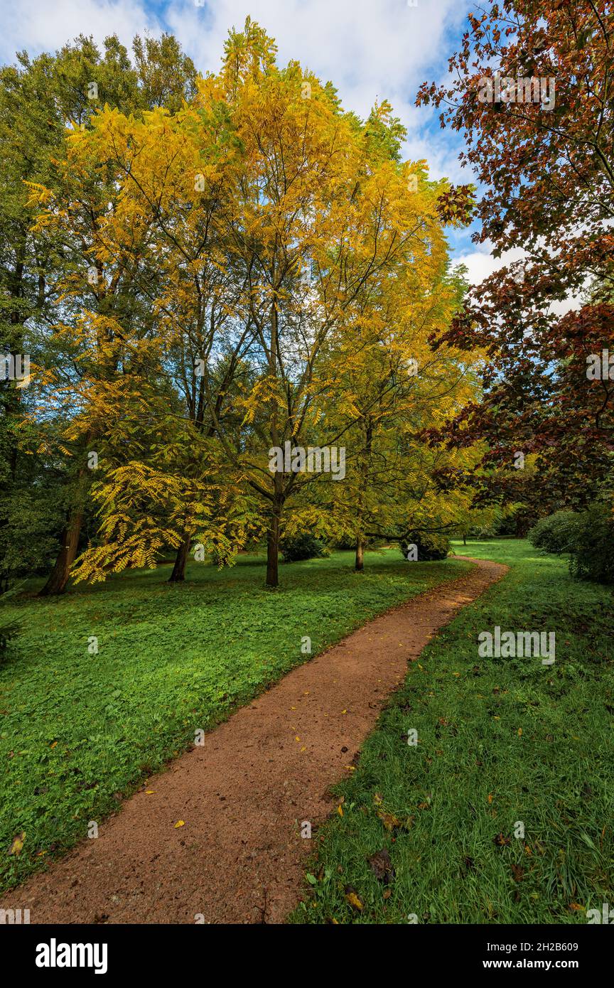 Autumn walk at Lynford Arboretum in Norfolk, UK Stock Photo - Alamy