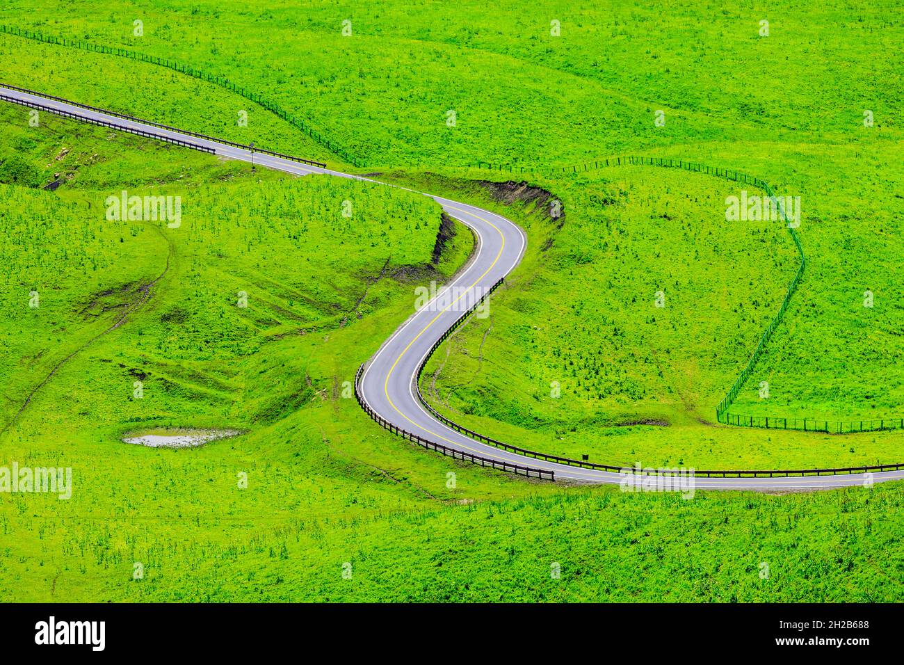 Curved asphalt roads and green grass in nalati grassland,Xinjiang,China ...