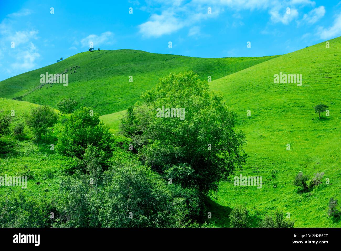 Nalati grassland with beautiful mountain natural landscape in Xinjiang ...