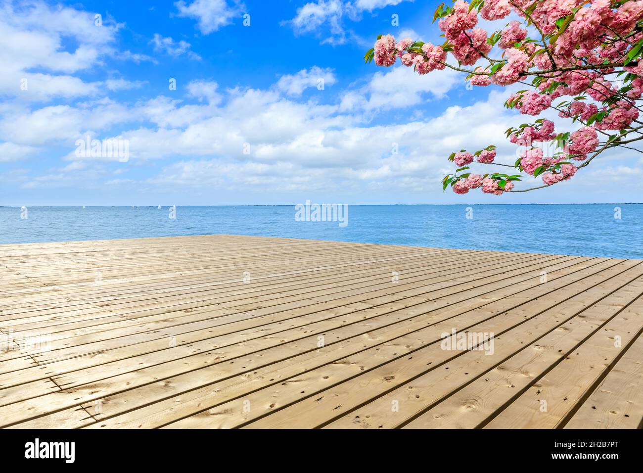 Wooden plank road and river natural landscape Stock Photo - Alamy