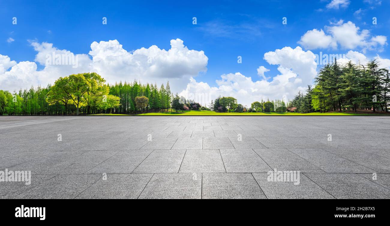 Empty parking tree hi-res stock photography and images - Alamy