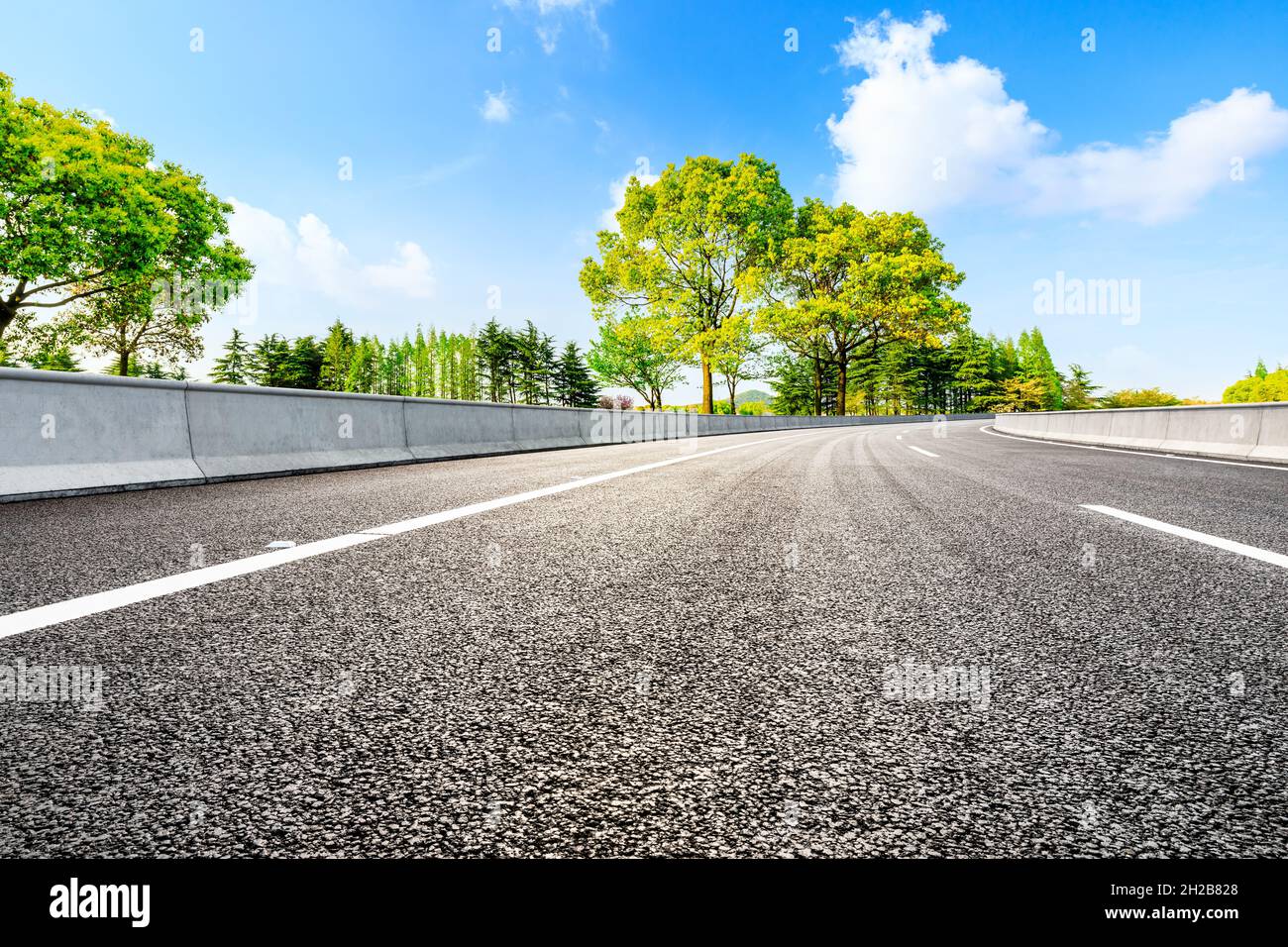 Empty asphalt road and green trees in spring season Stock Photo - Alamy