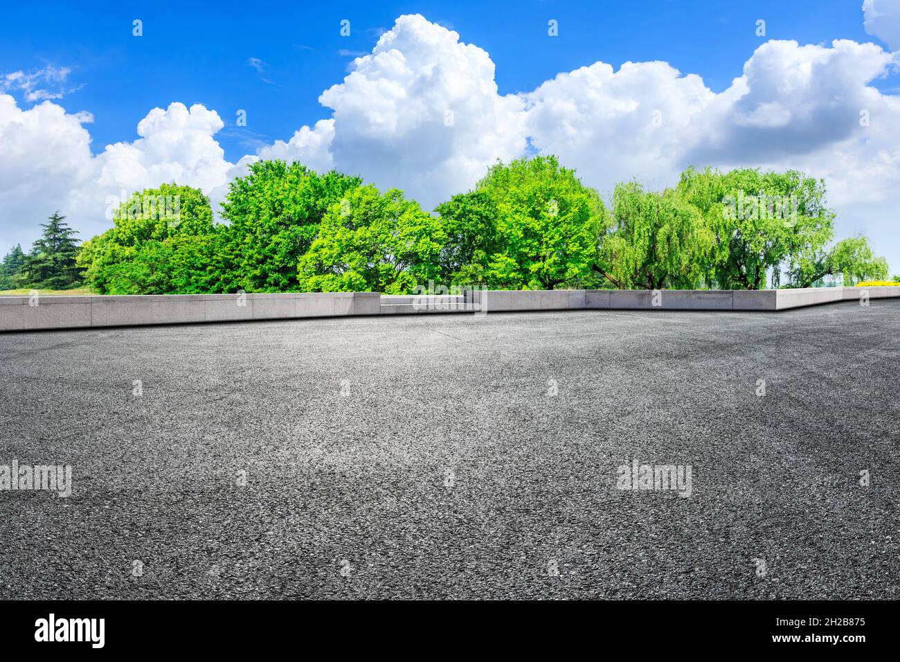 Empty asphalt road and green tree under blue sky Stock Photo - Alamy