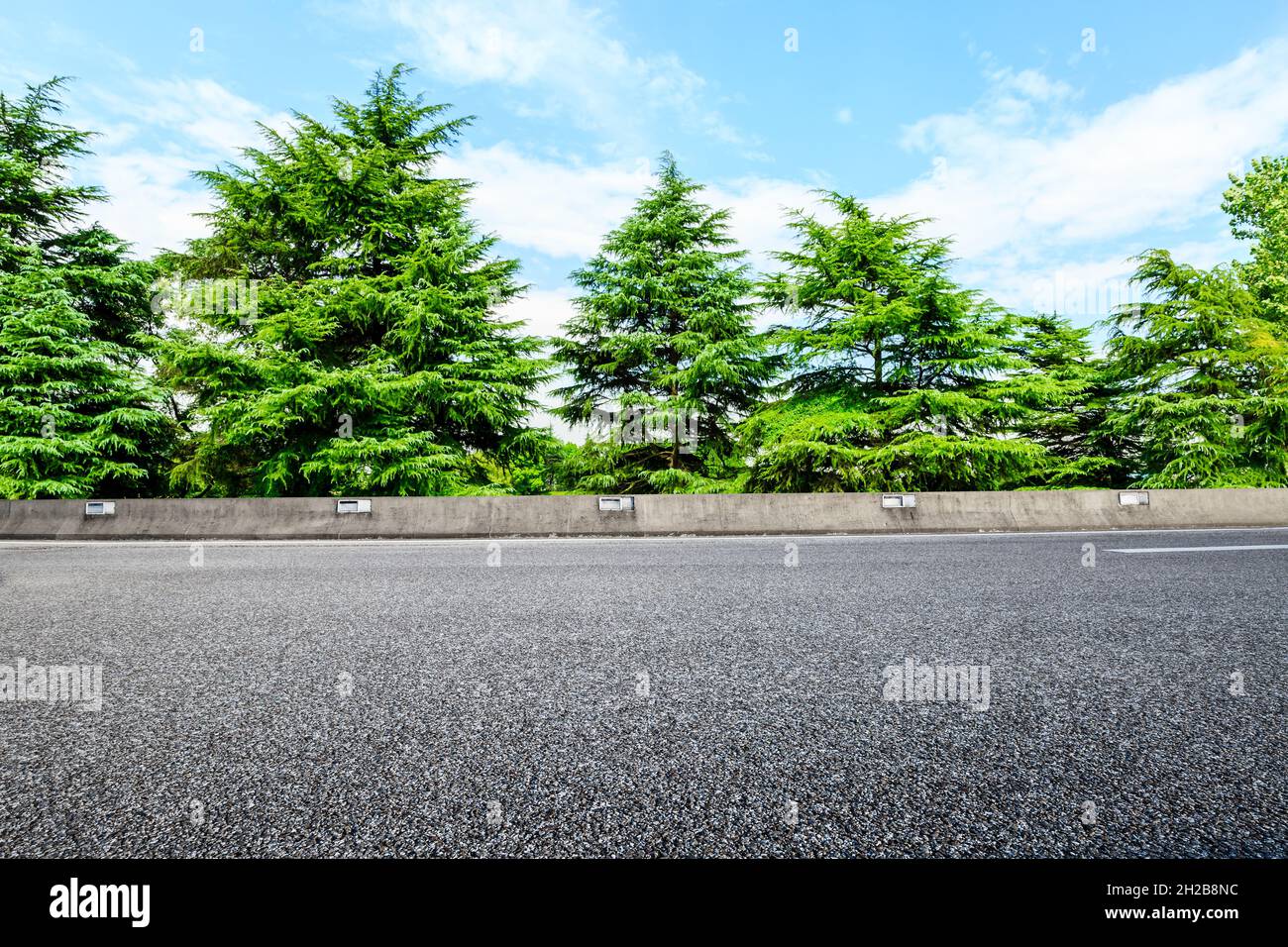 Asphalt road and green trees in spring season Stock Photo - Alamy