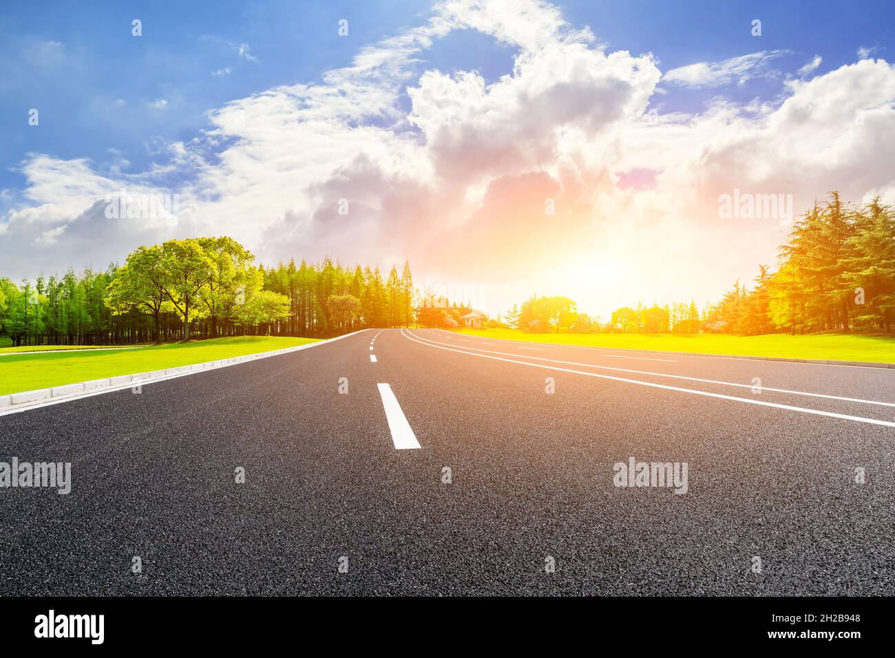 Tree line road green hi-res stock photography and images - Alamy