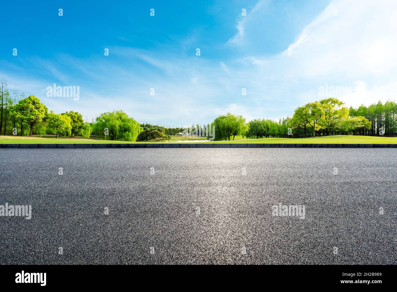 Asphalt road and green trees in spring season Stock Photo - Alamy