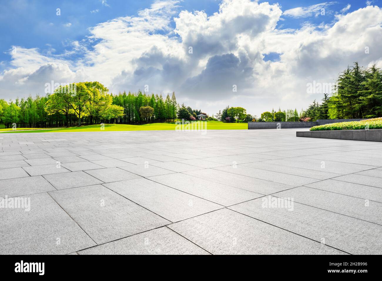 Wide square floor and green trees in natural park Stock Photo - Alamy