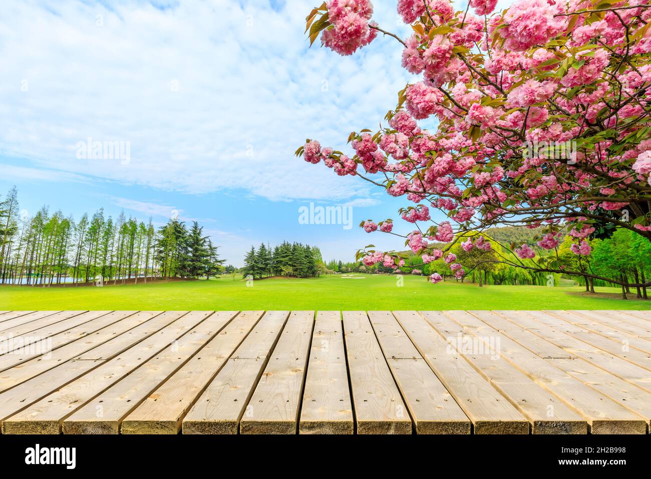 Wooden display platform and blooming flowers with green grass Stock ...
