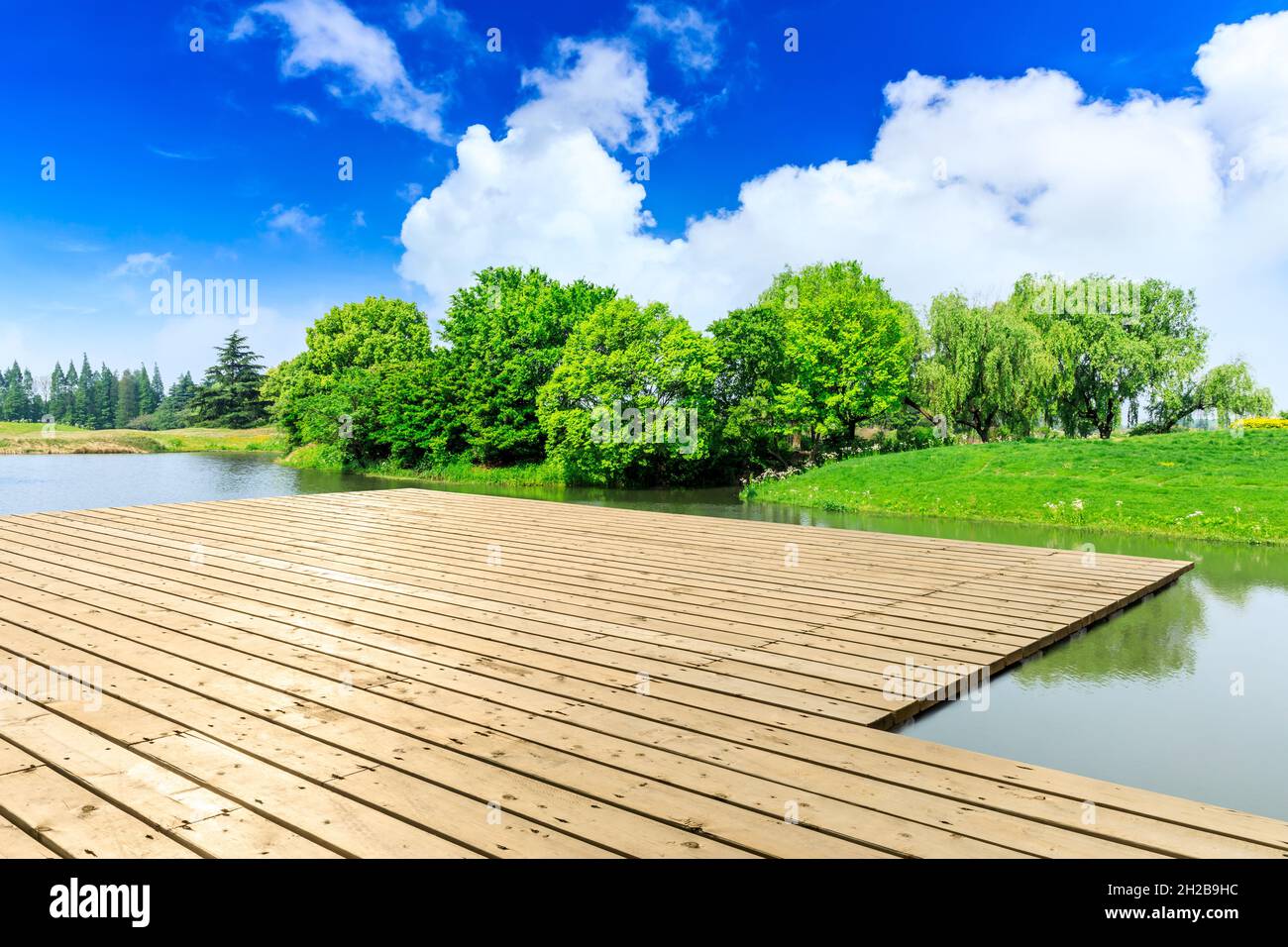 Wooden plank road and green tree natural landscape Stock Photo - Alamy