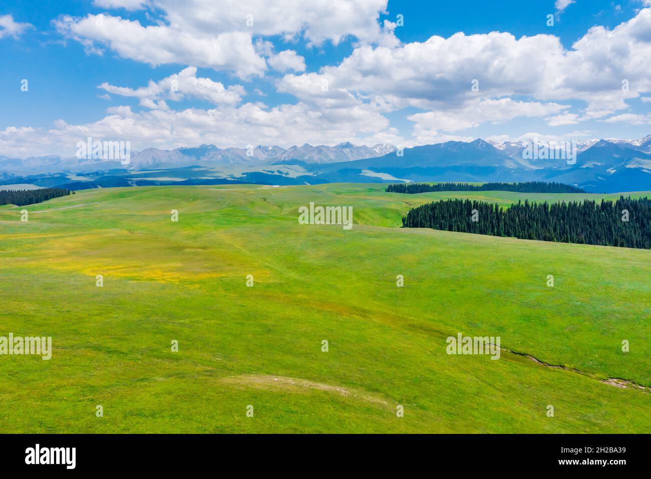 Aerial View of mountain and green forest with grass in Kalajun ...