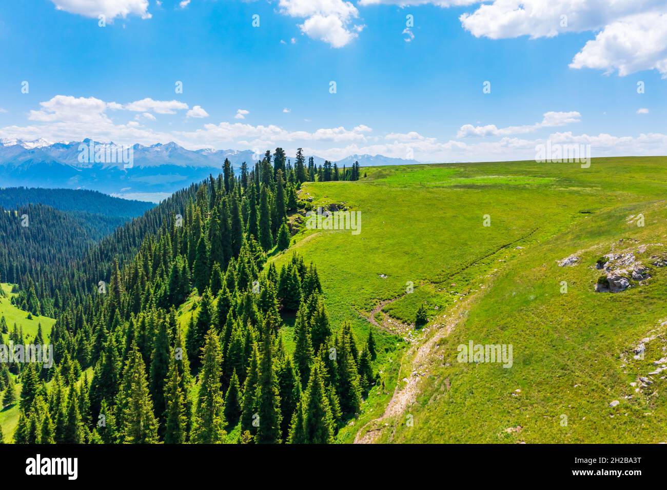 Aerial View of mountain and green forest with grass in Kalajun ...