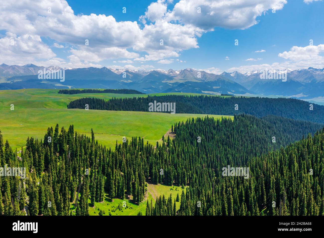 Aerial View of mountain and green forest with grass in Kalajun ...