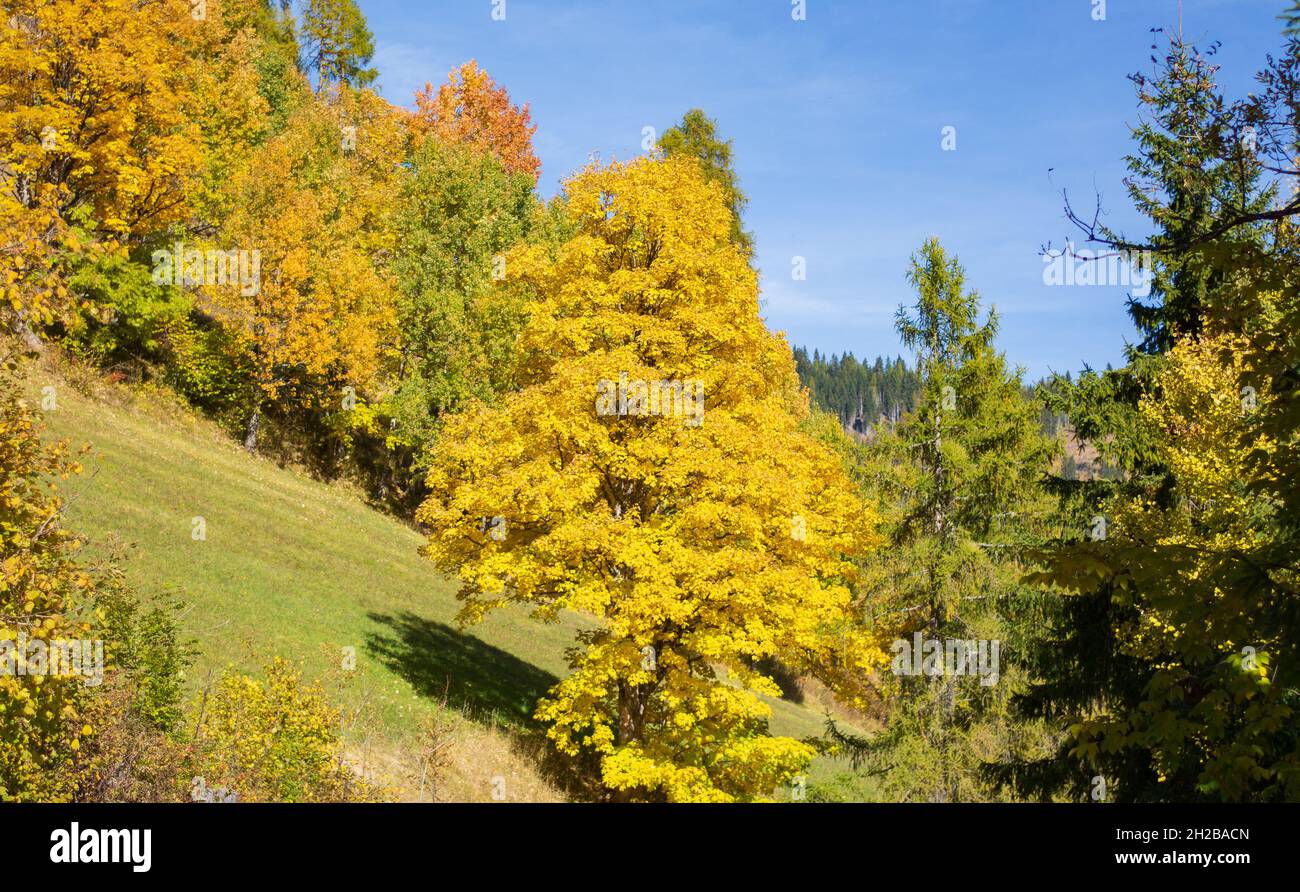 Montreal lake saskatchewan hi-res stock photography and images - Alamy