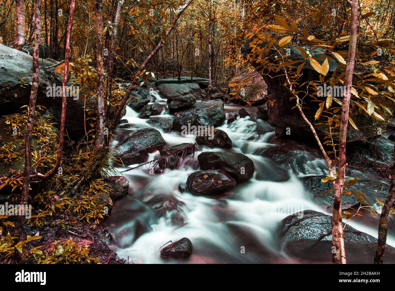 Tranh Waterfall in Phu Quoc island Stock Photo - Alamy