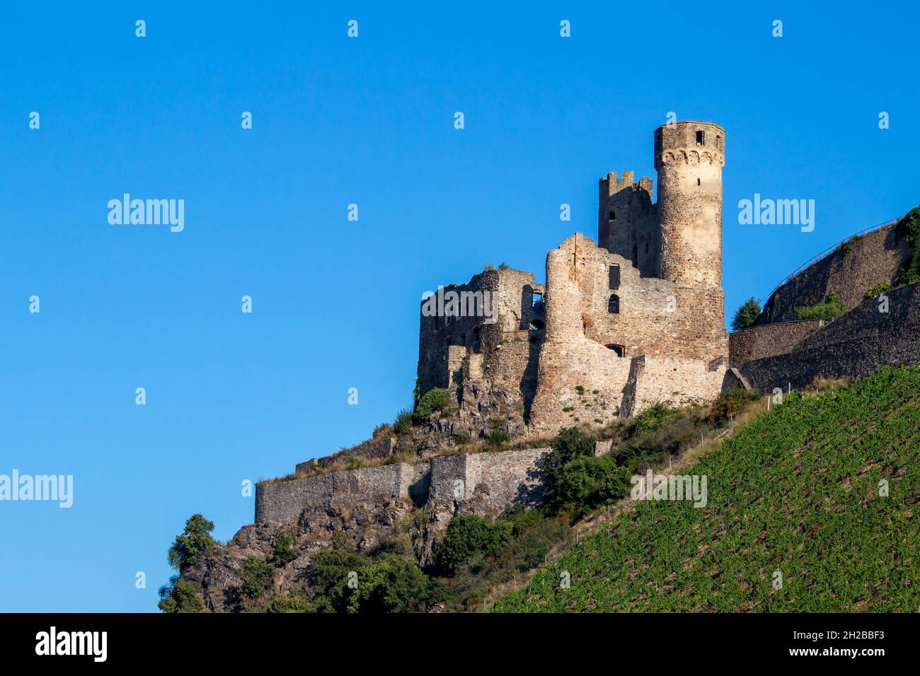 Hillside view of Ehrenfels Castle ruins on the upper middle Rhine River ...