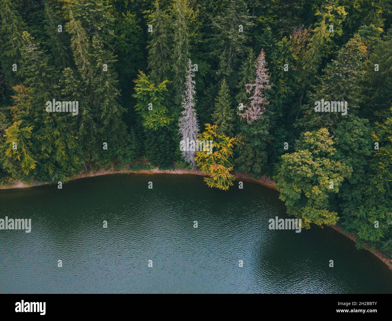 Top view synevyr lake hi-res stock photography and images - Alamy