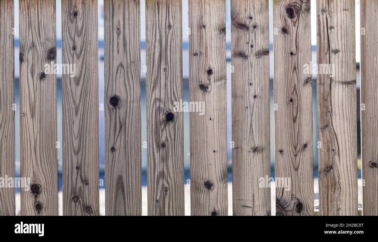 Wood with a fine rustic structure as a background, photographed in ...