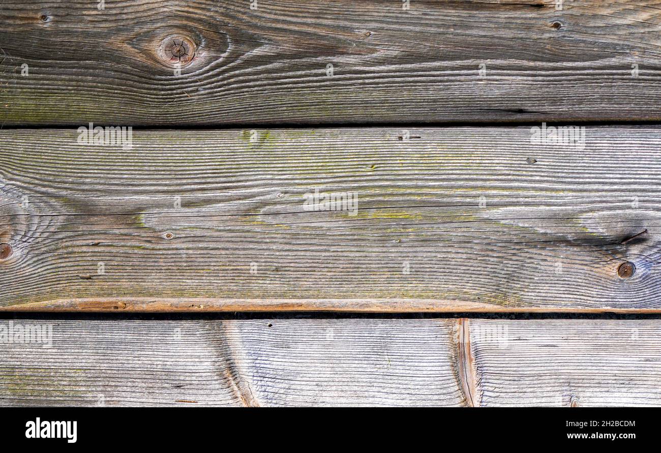 Wood with a fine rustic structure as a background, photographed in ...